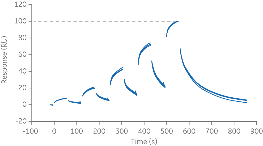 Fc receptor binding assays using surface plasmon resonance