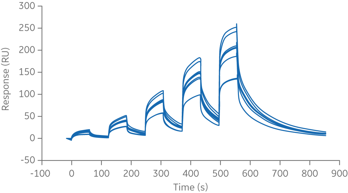Fc receptor binding assays using surface plasmon resonance