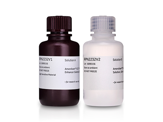 ECL Prime Western Blot Detection | Cytiva