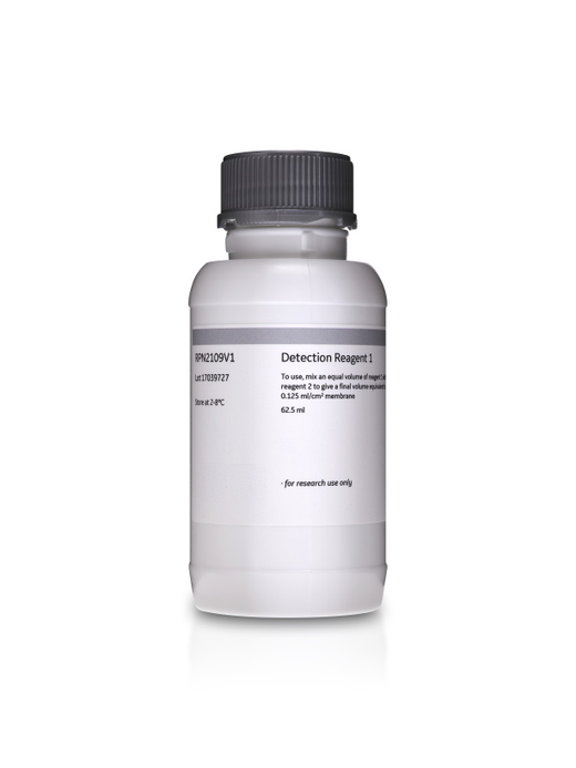 Amersham ECL Western Blotting Detection Kit | Cytiva