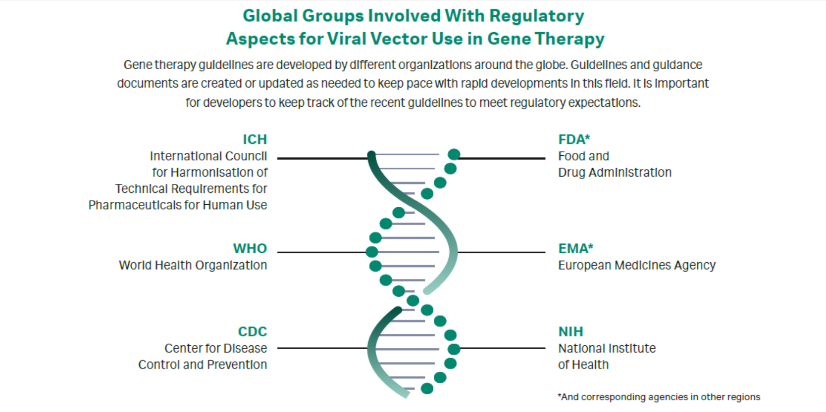 Gene therapy regulatory landscape | Cytiva
