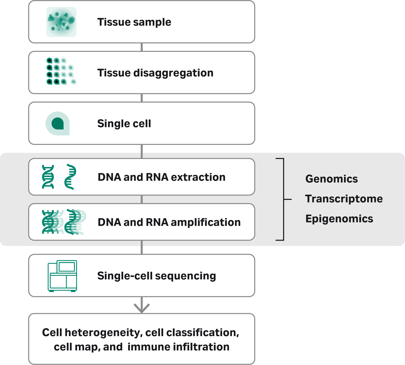 Single cell Sequencing Expands Genomics Research Horizons Cytiva