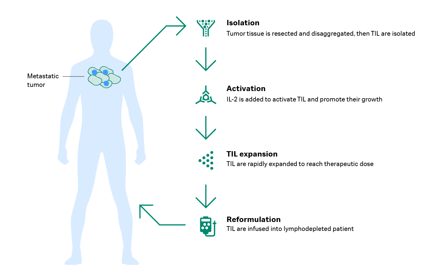 T cells cancer immunotherapy