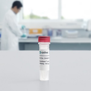 CHO HCP ELISA Kit and Anti-CHO HCP Antibody | Cytiva