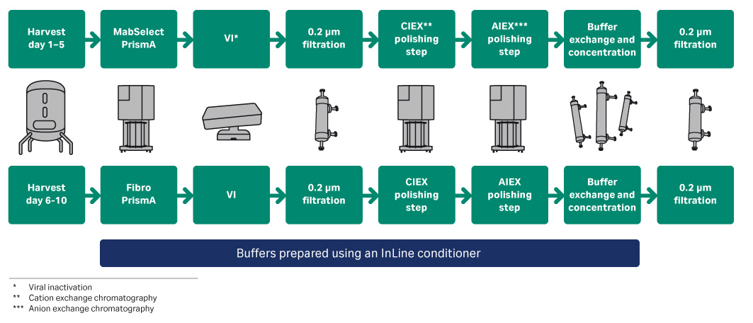 Developing a closed connected single use mAb purification process | Cytiva