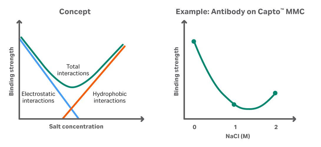 Multimodal chromatography | Cytiva
