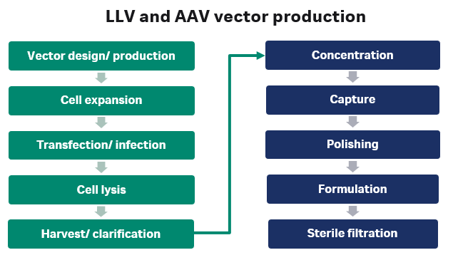 New drug process development | Cytiva