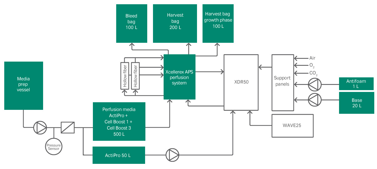 Large scale perfusion cell culture | Cytiva