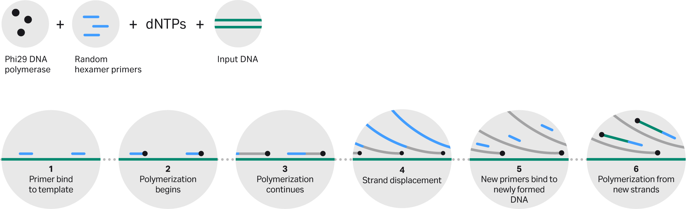 Avoid bottlenecks in high-throughput NGS sample prep | Cytiva