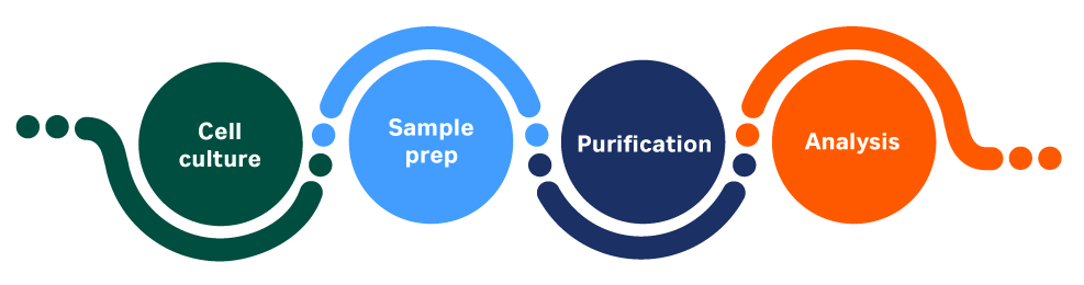 Protein production—understanding the workflow from start to finish | Cytiva