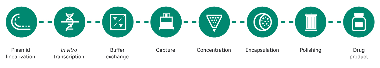 mRNA manufacturing | Cytiva