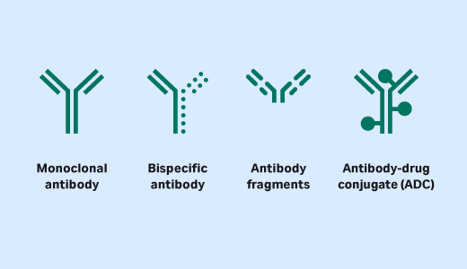 Antibody production | Cytiva