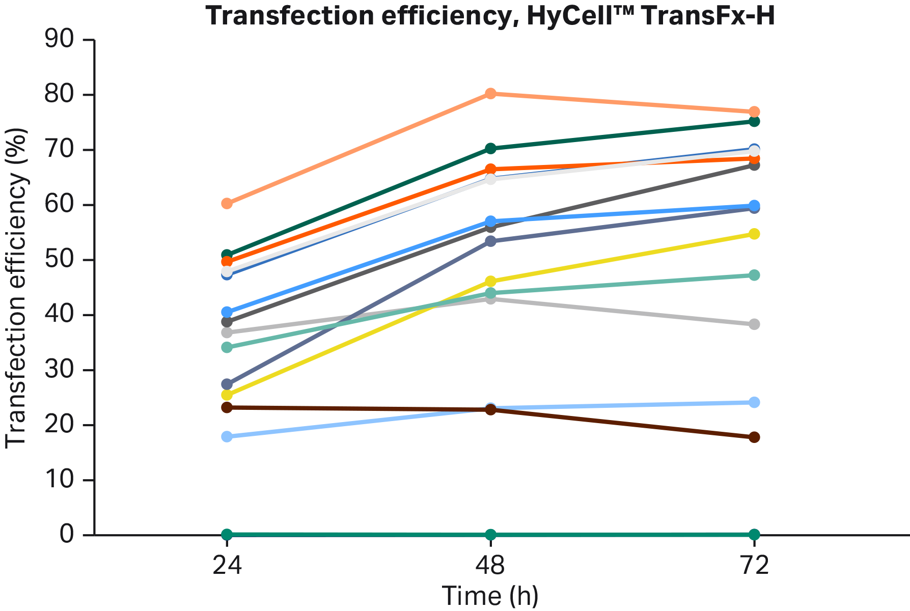 Gene therapy AAV vector production process | Cytiva