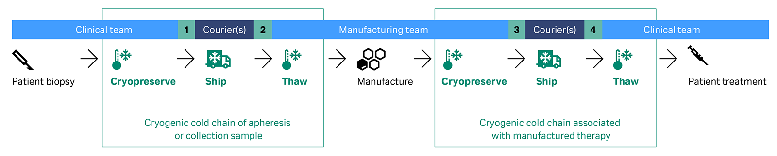 Guide to cell therapy logistics risk management
