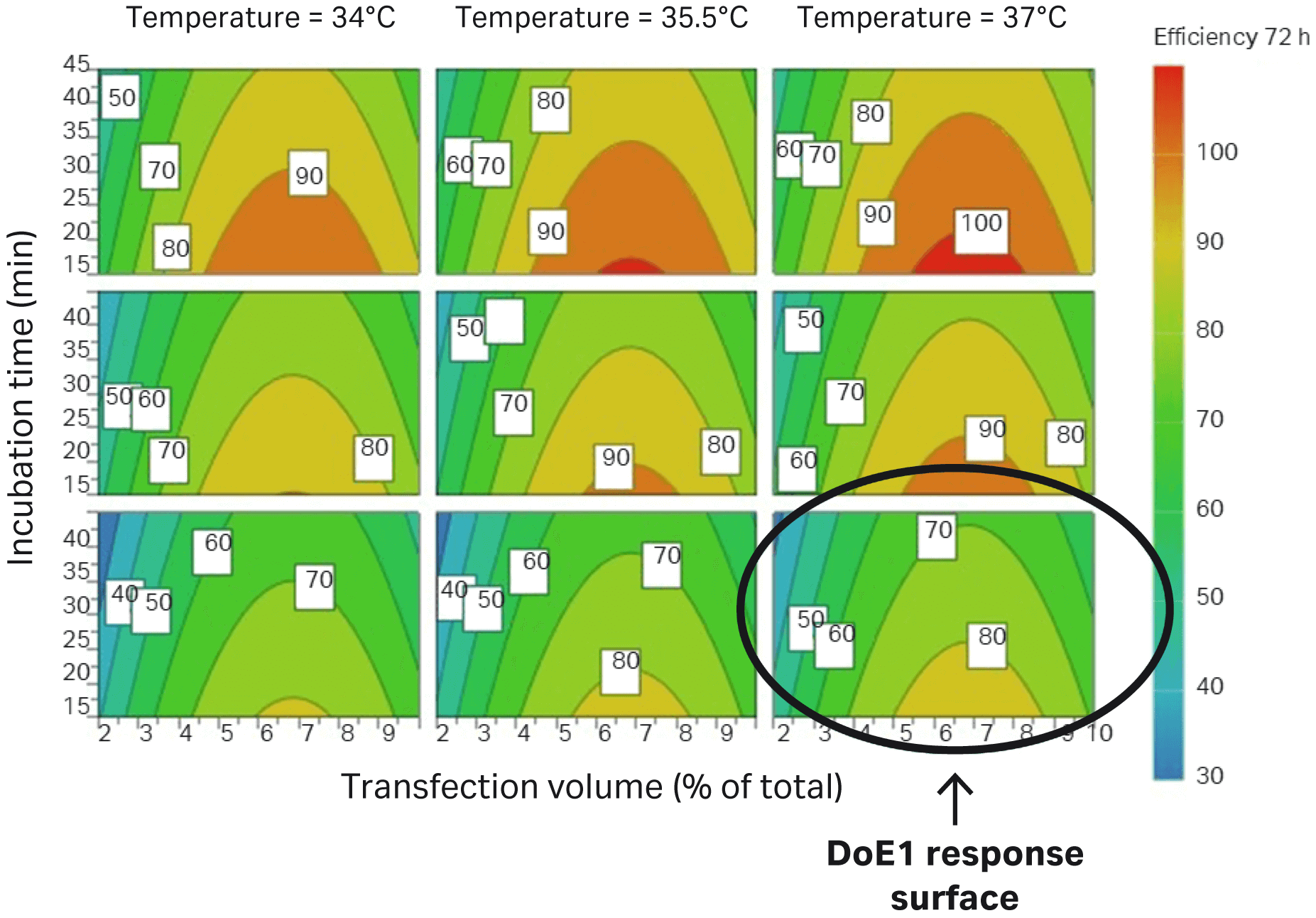 Cell culture process development for AAV vector production in suspension cells | Cytiva
