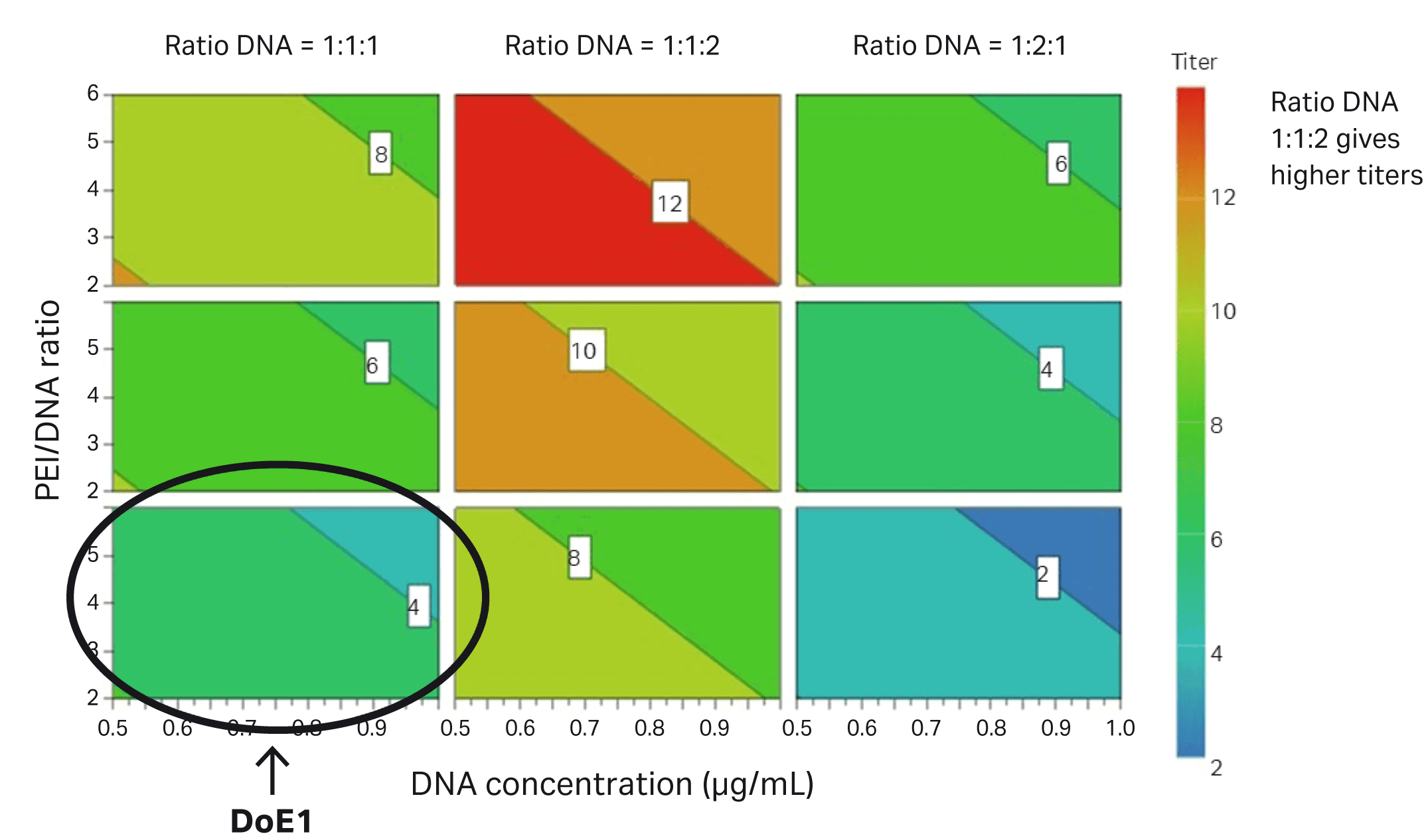 Cell culture process development for AAV vector production in suspension cells | Cytiva