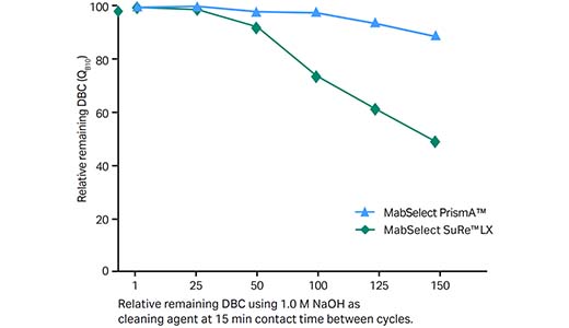 Affinity chromatography for antibody protein purification | Cytiva