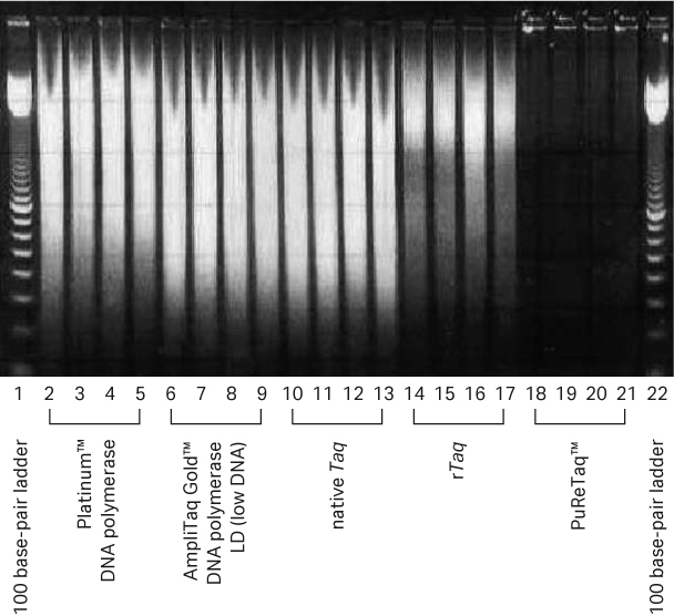 Applications of PuReTaq Ready To Go PCR Beads in Real Time PCR | Cytiva