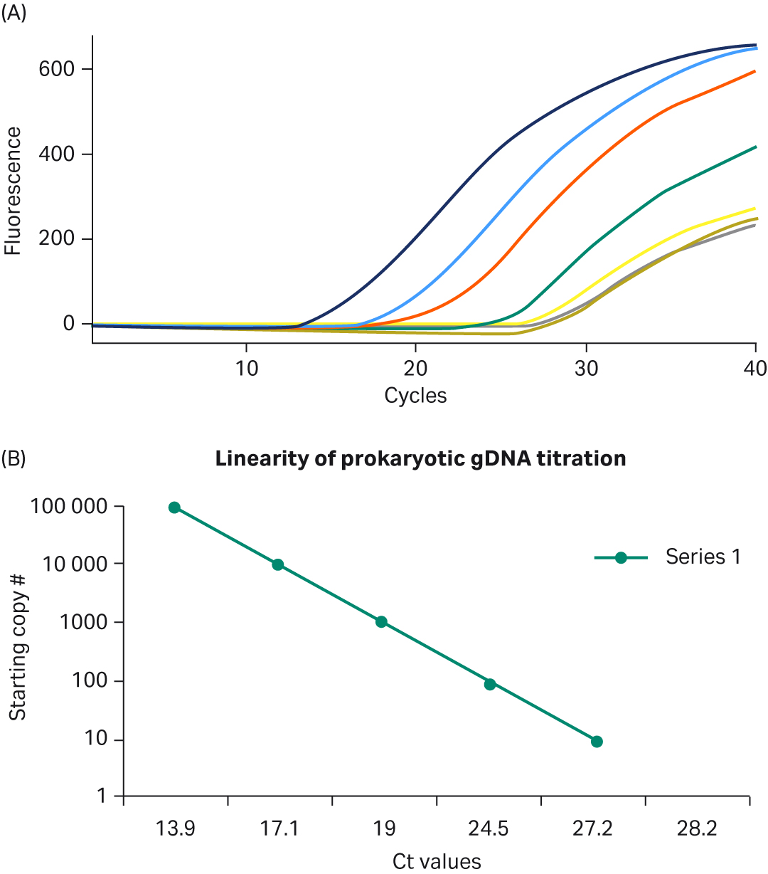 Applications of PuReTaq Ready To Go PCR Beads in Real Time PCR | Cytiva