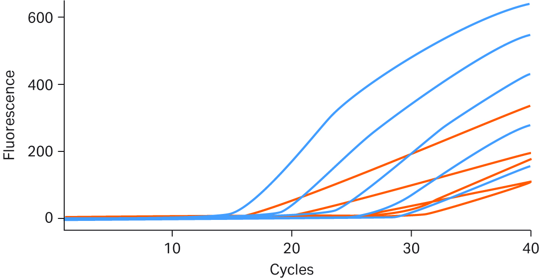 Applications of PuReTaq Ready To Go PCR Beads in Real Time PCR | Cytiva