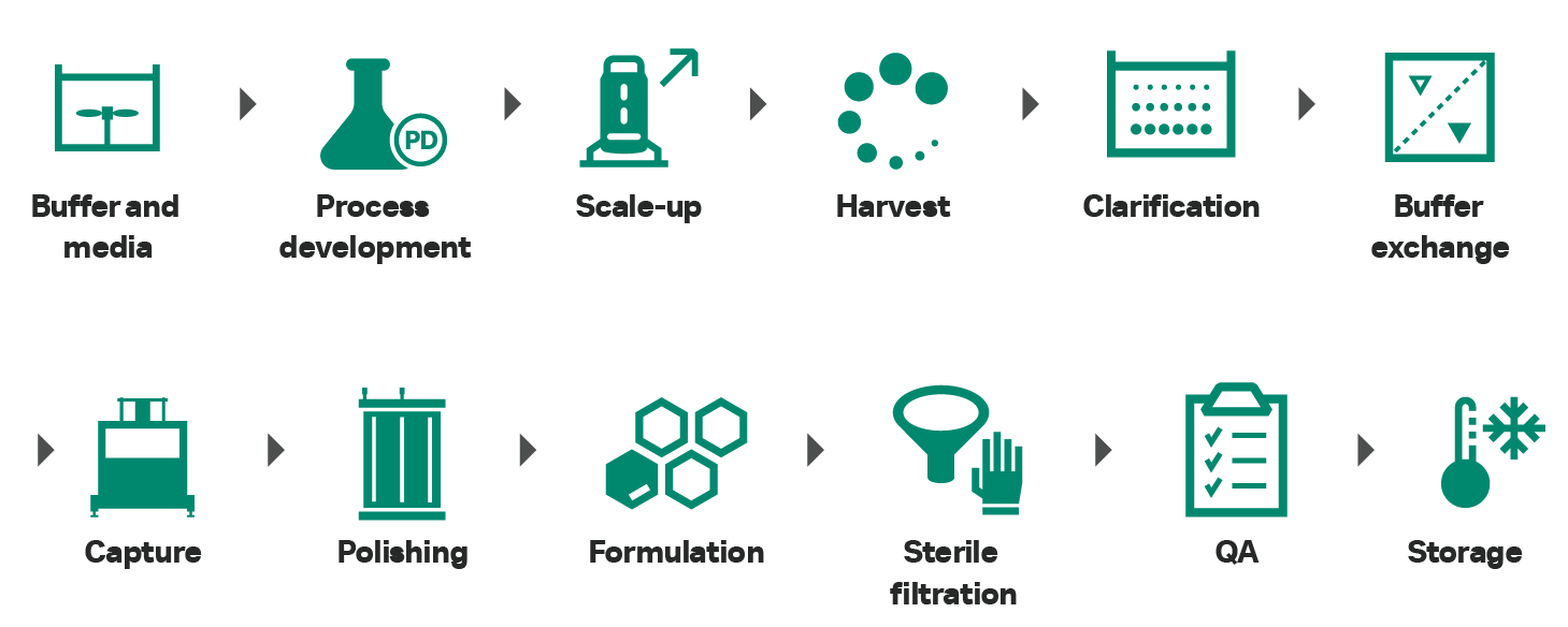 Tips for AAV production | Cytiva