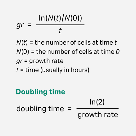 Adherent cell lines direct adaptation | Cytiva