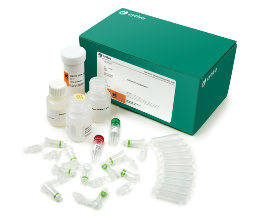 Bacteria genomicPrep Mini Spin Kit | Cytiva