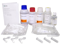 Tissue and cells genomicPrep Mini Spin Kit | Cytiva