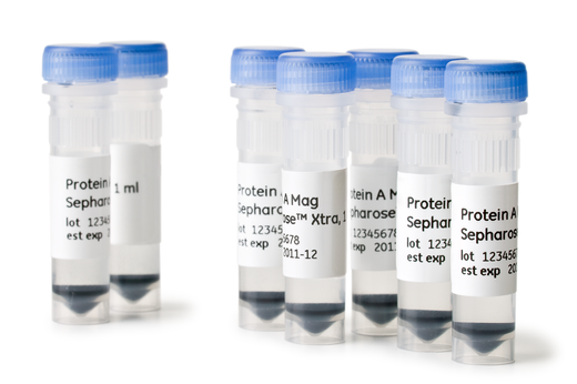 Protein A Mag Sepharose™ Xtra | Cytiva