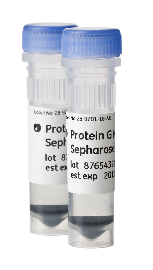 Protein G Mag Sepharose™ Xtra | Cytiva