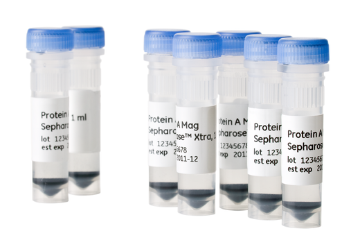 Protein A Mag Sepharose™ Xtra | Cytiva