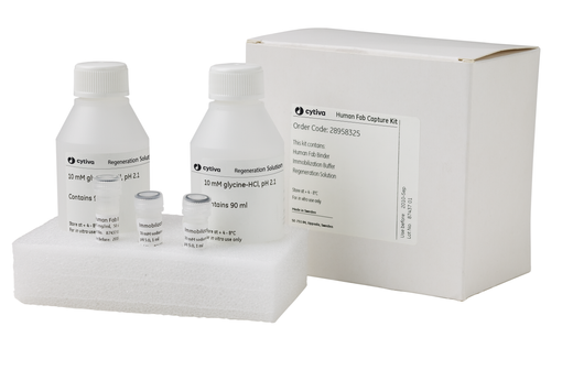 Human Fab Capture Kit | Cytiva