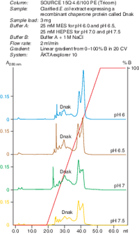SOURCE 15Q_离子交换_填料_层析产品_思拓凡官网 | Cytiva