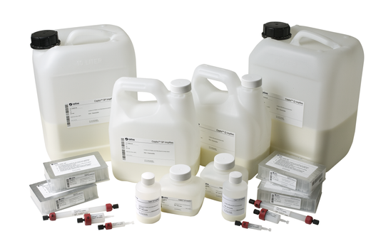 HiTrap Capto Q ImpRes anion exchange chromatography column | Cytiva