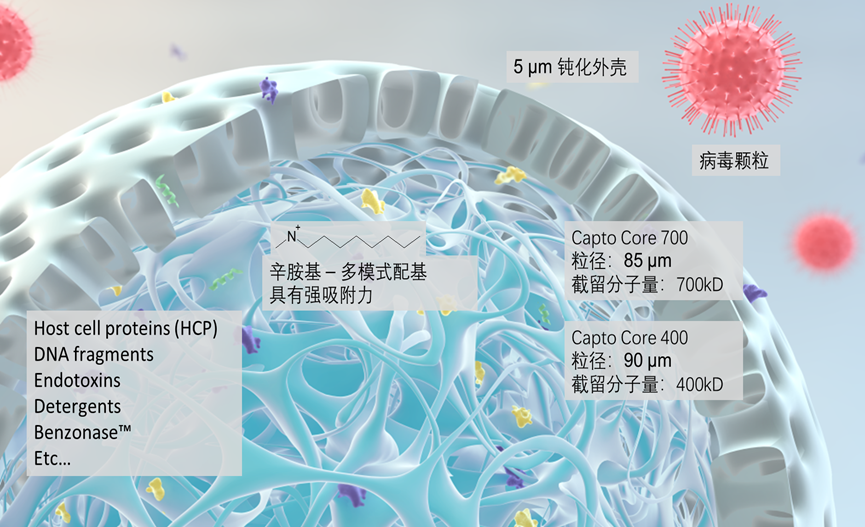 沉浸式体验质粒两步法纯化工艺-知识中心-生物工艺-思拓凡官网 | Cytiva