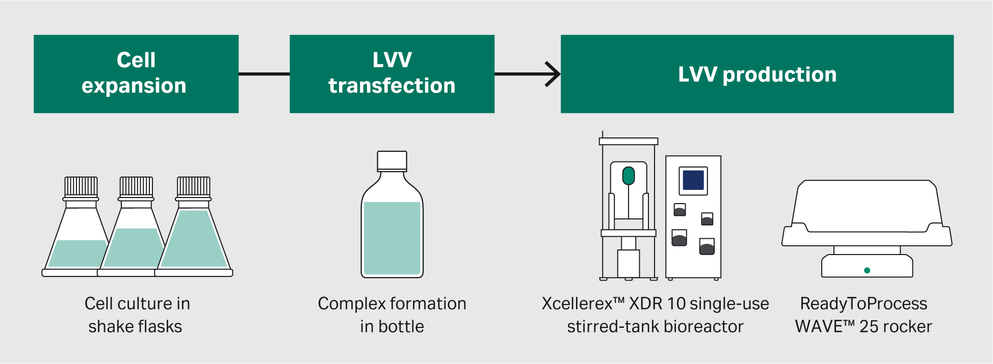 Process development for Lentiviral vector production | Cytiva