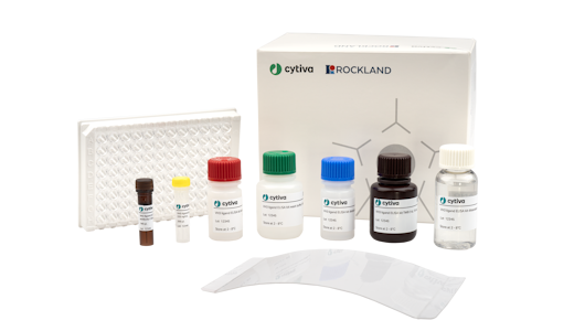 Affinity chromatography for antibody protein purification | Cytiva