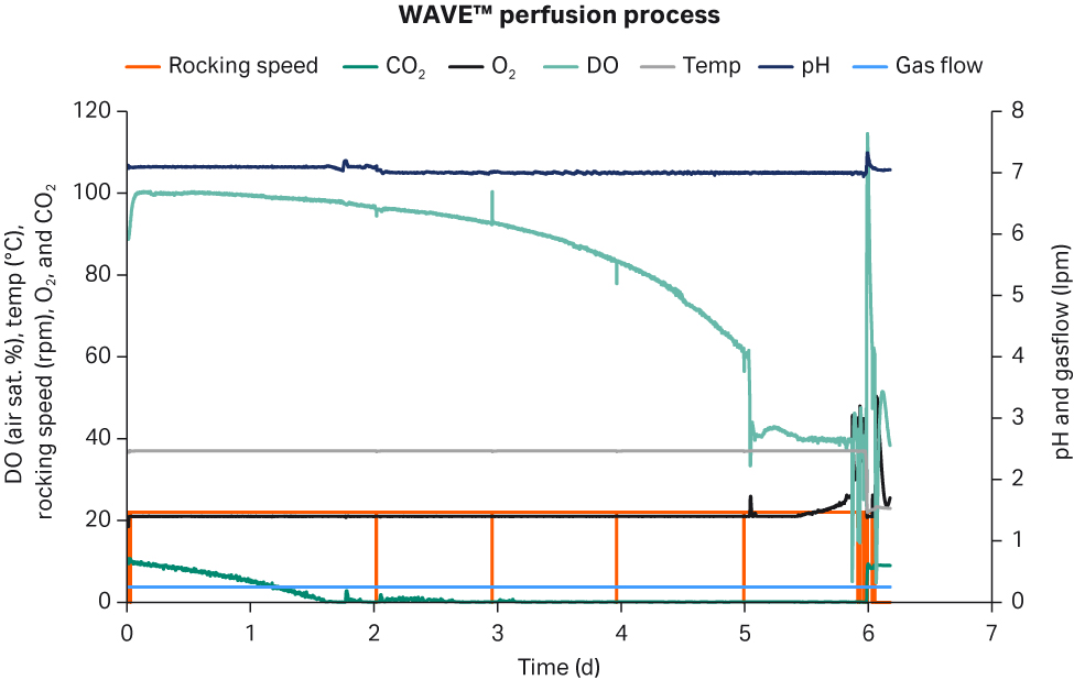 Intensifying your fed batch process using cryobags | Cytiva