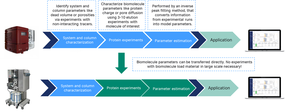 Scale-up and scale-down with mechanistic modeling FAQs