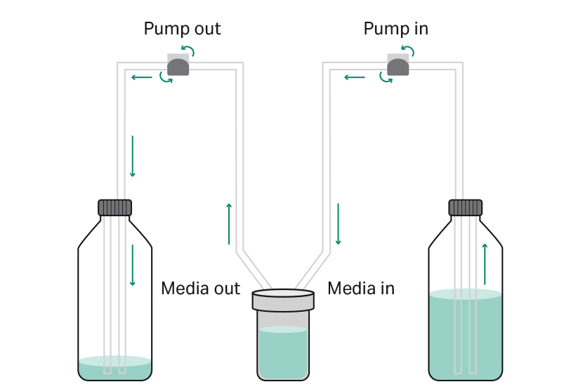 Recirculation perfusion guide for the icellis bioreactor | Cytiva
