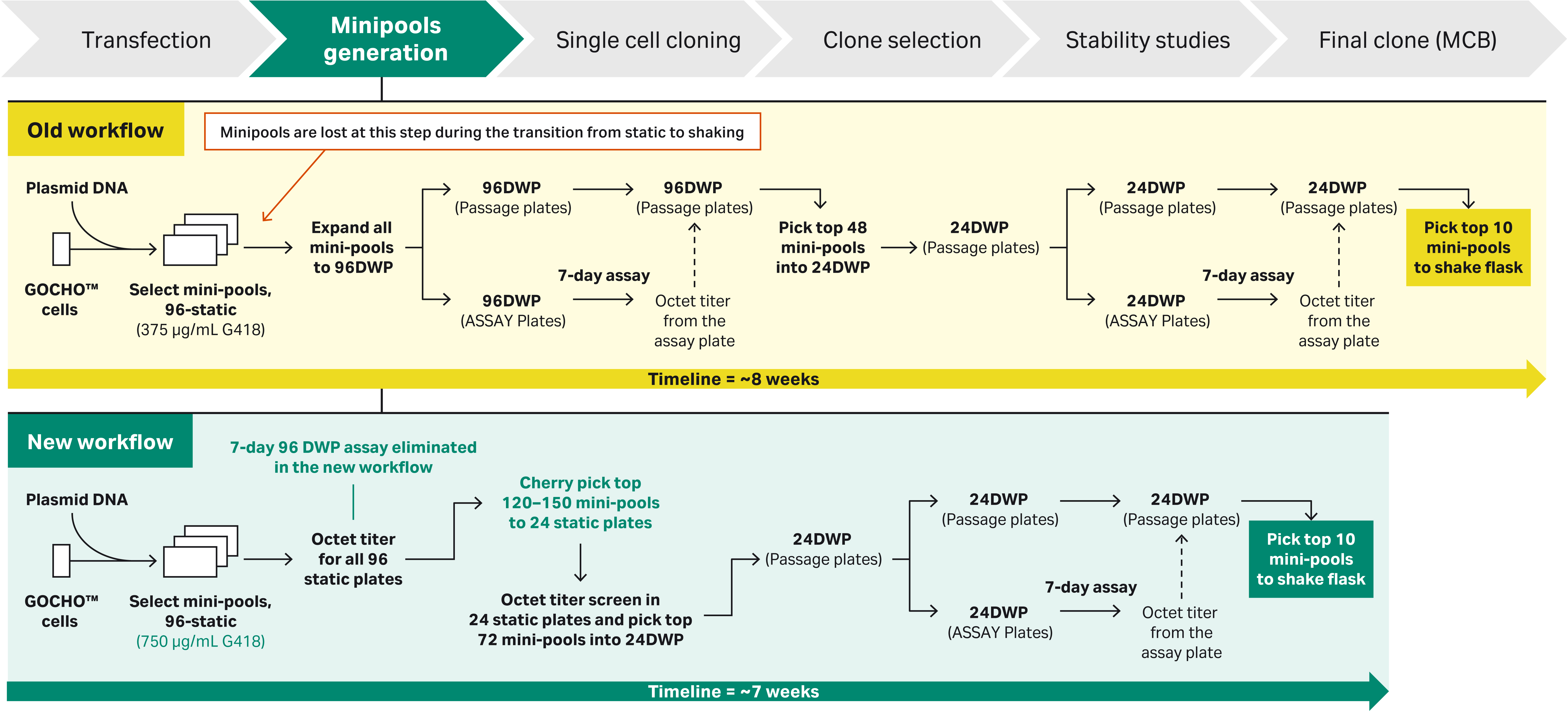 A robust workflow to identify high performing clones