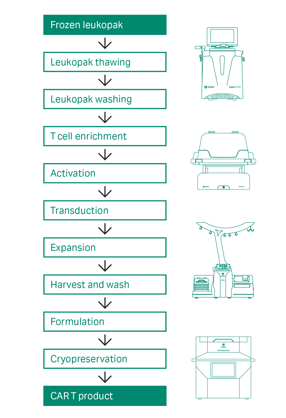 CAR T cells: closed and semi-automated processing | Cytiva