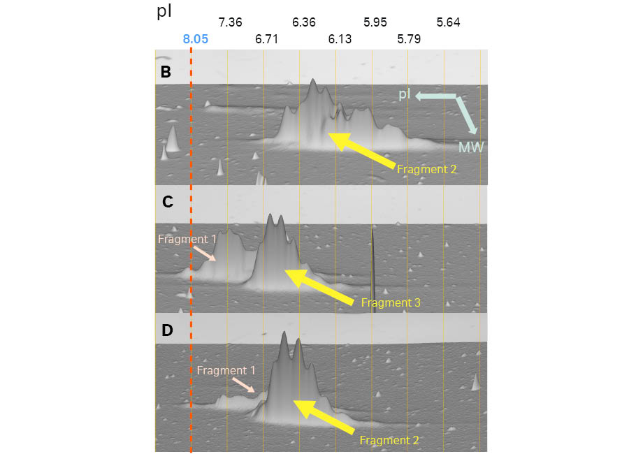 A new approach to charge variant analysis | Cytiva