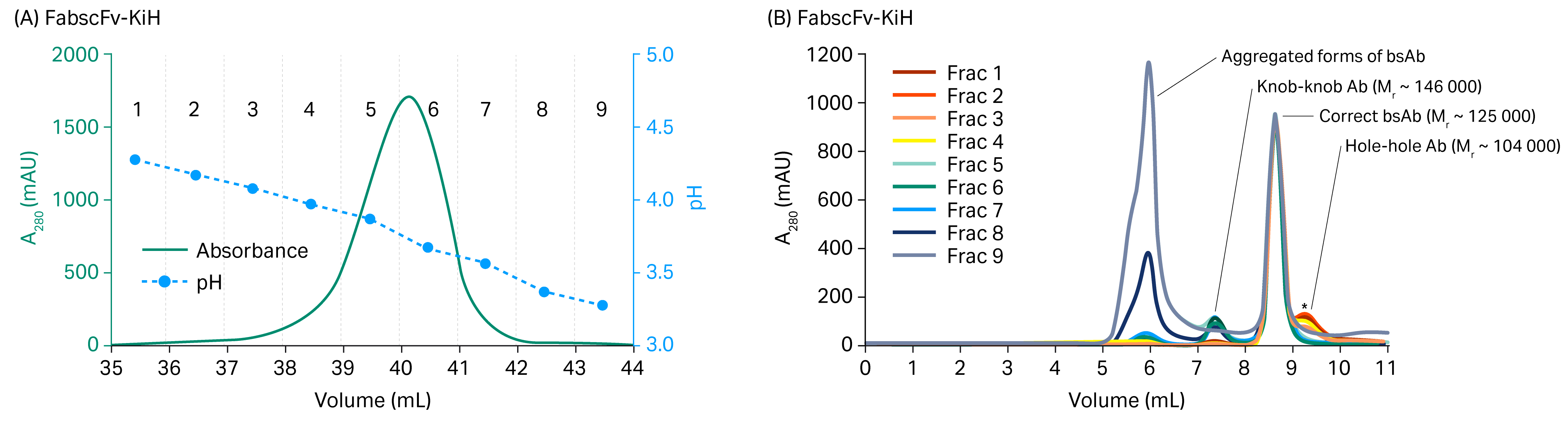 Optimizing the purification of bispecific antibodies | Cytiva