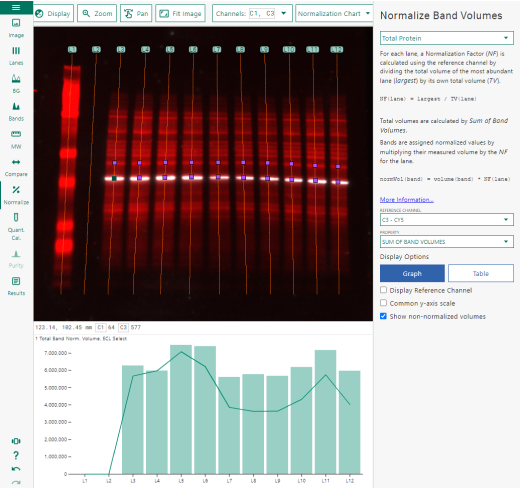 ImageQuant™ TL analysis software | Cytiva