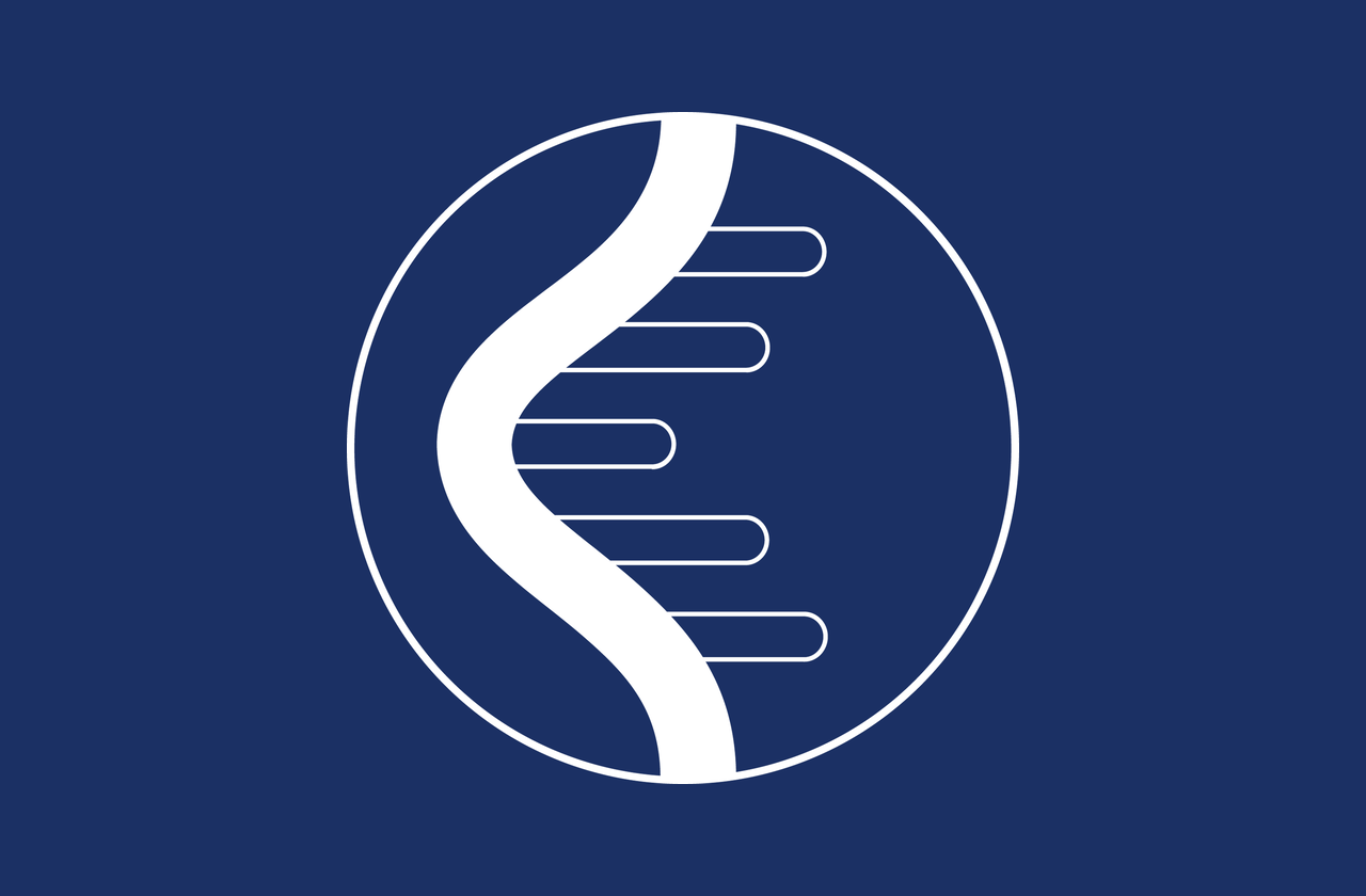 3 Blue Lines Logo