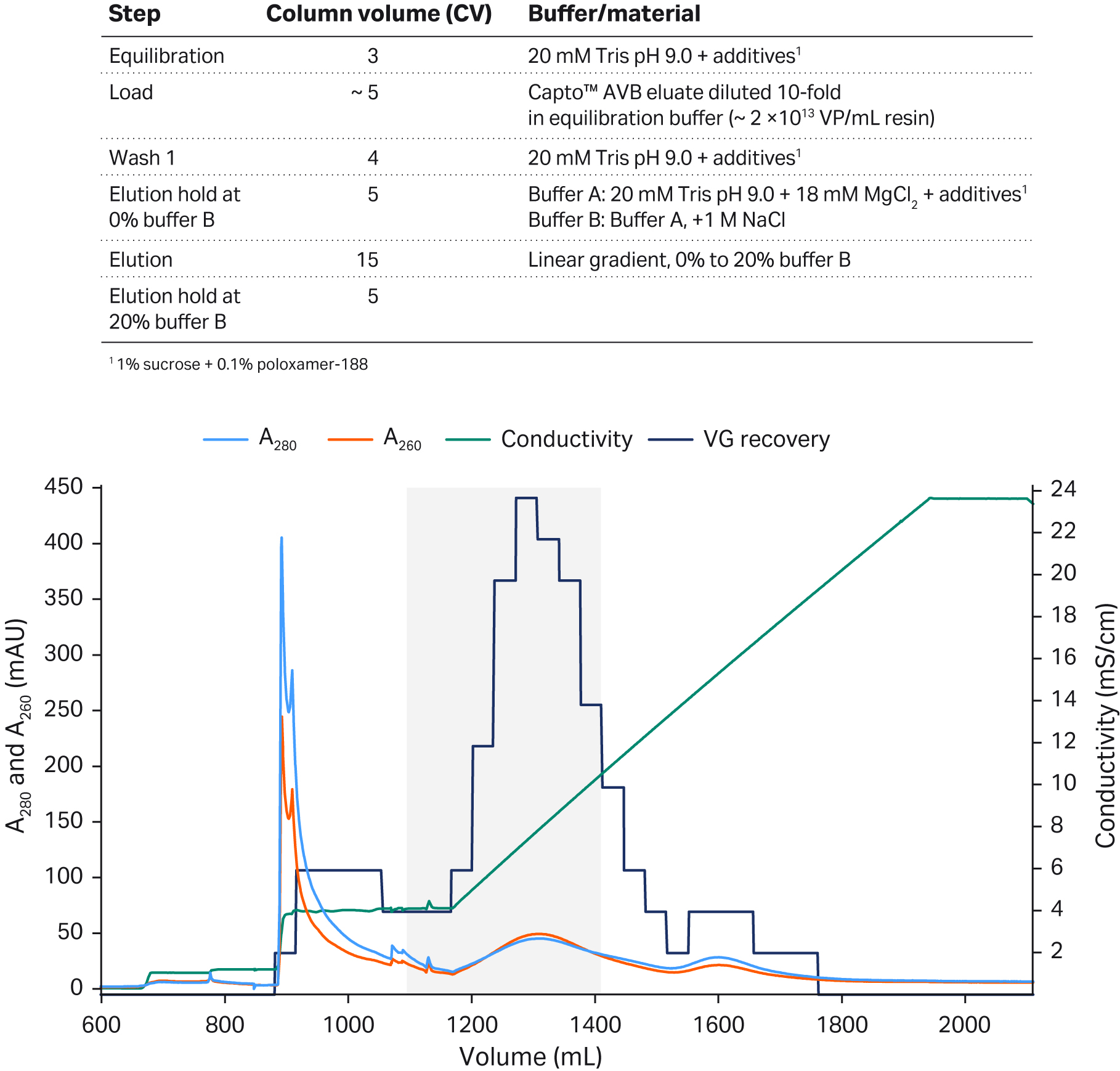 Effective separation of full and empty rAAV capsids by anion exchange